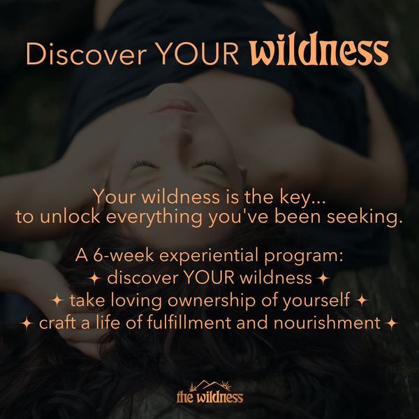 Discover YOUR Wildness - THE WILDNESS